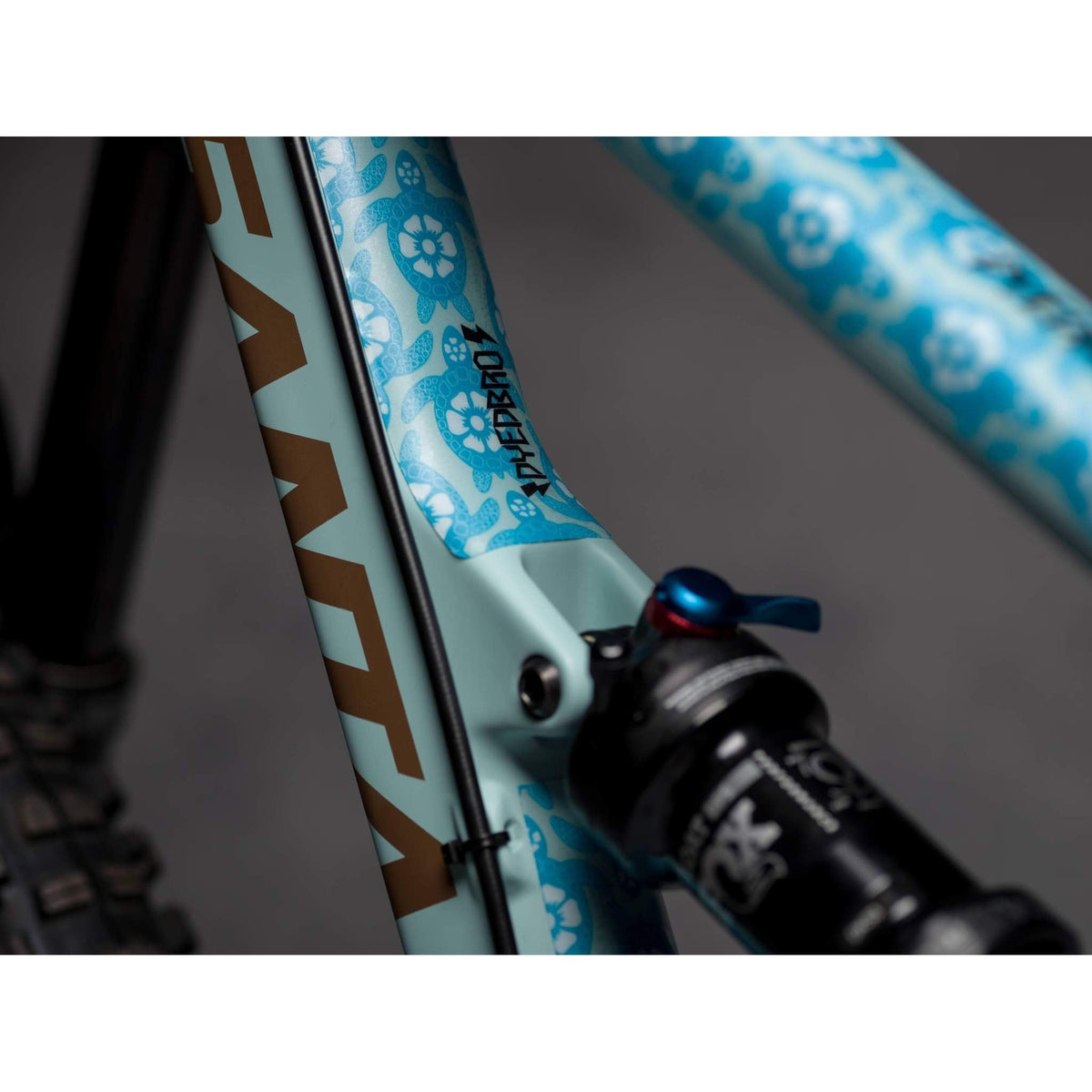 Dyedbro Turtles Frame Protection– Pushbikes