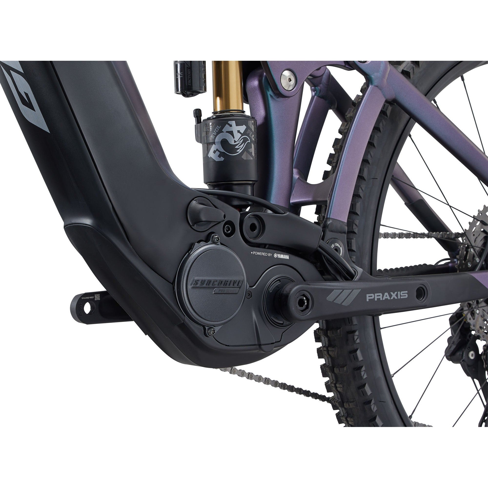 Giant 2024 Reign E+ 1 Electric Mountain Bike– Pushbikes